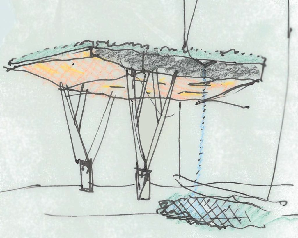 Double Duty: Designing a Canopy for Shelter & Learning - Studio G ...